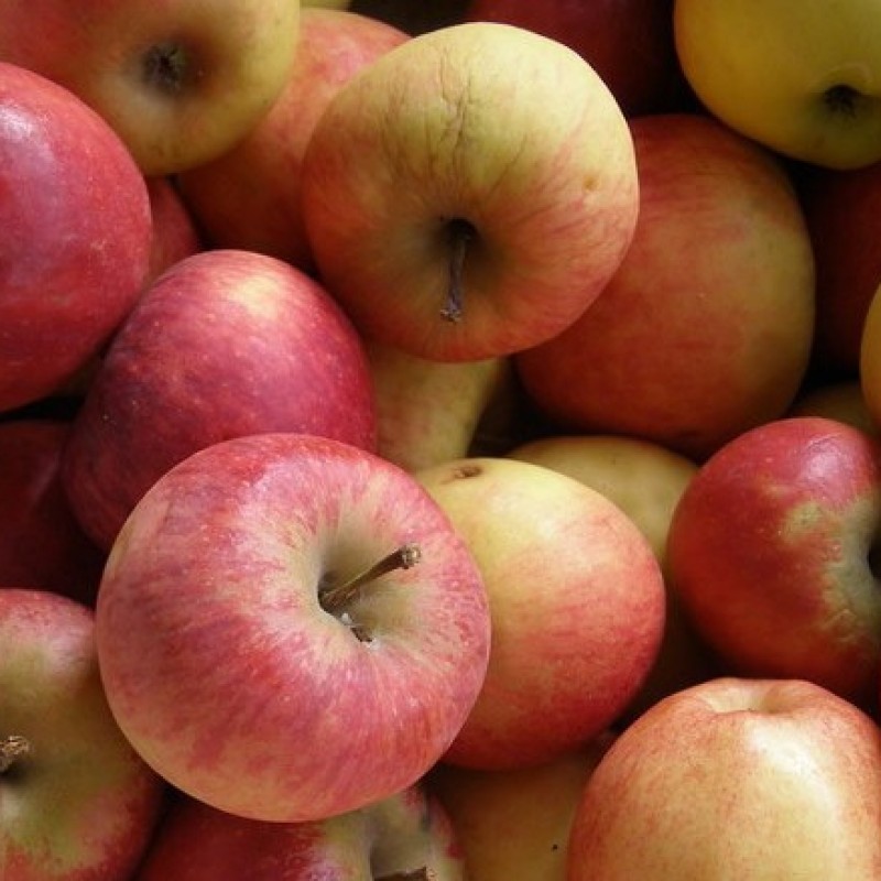 Fruits