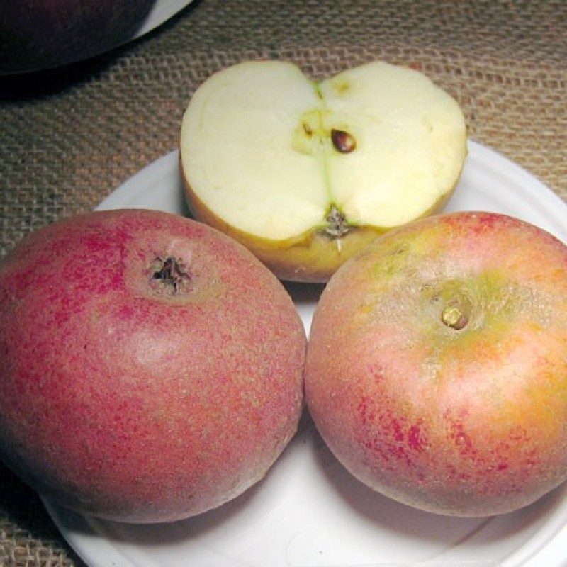 Fruits