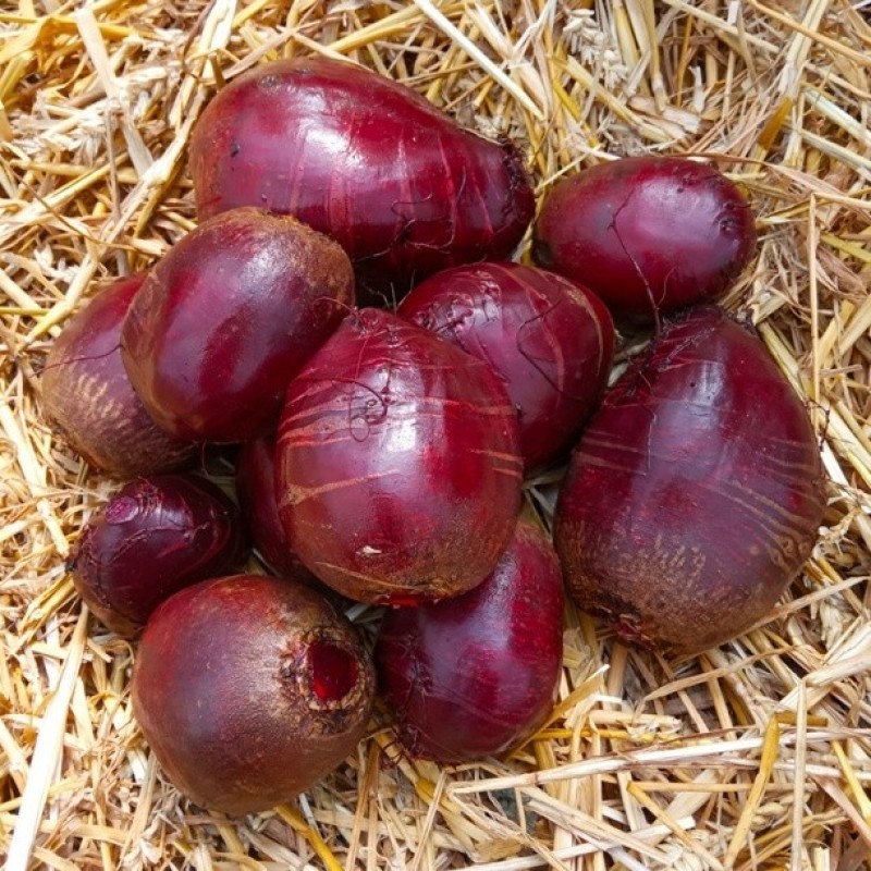 Fruits et Légumes (2)