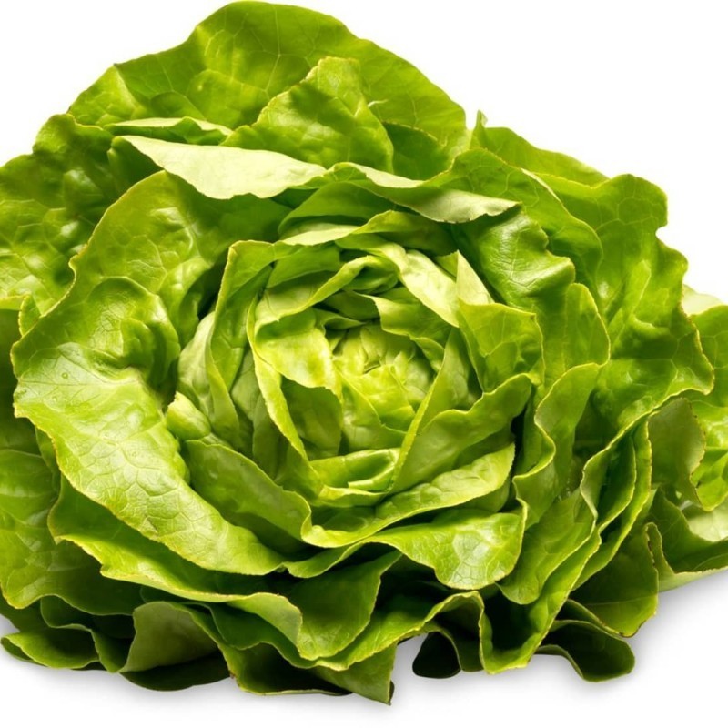 Fruits et Légumes (2)